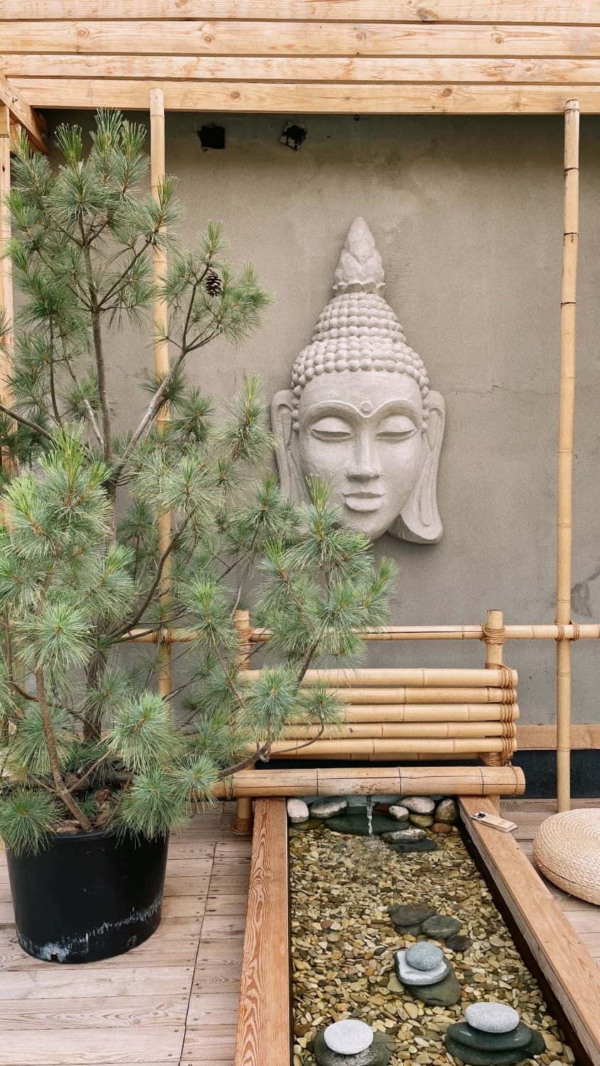 Roots Yoga Products – Premium Yoga Products